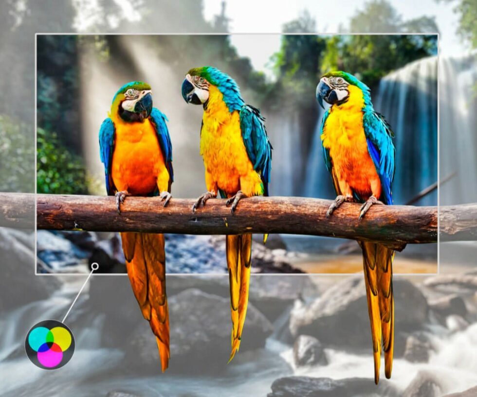 Daylight Reference 1.1 gen2 – XTREM SCREEN