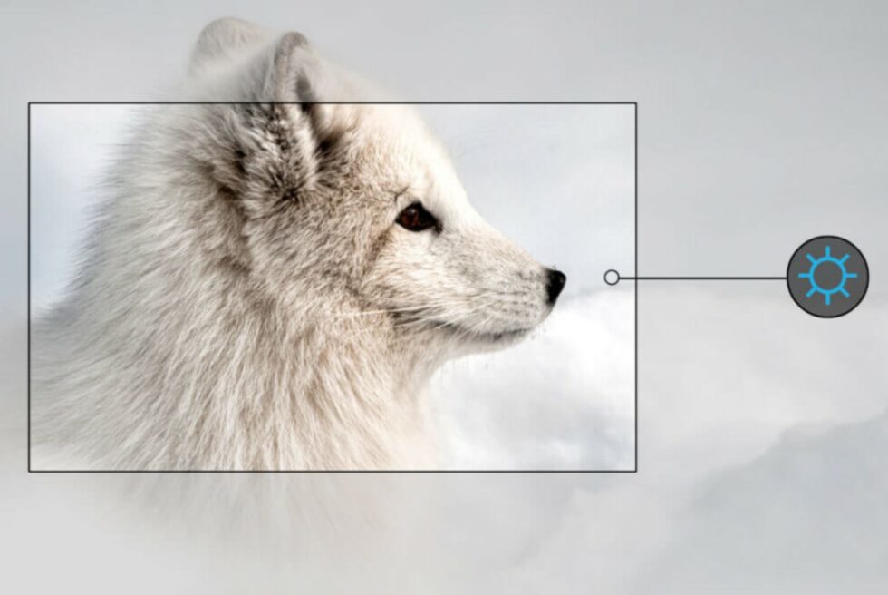 Daylight Reference 1.1 gen2 – XTREM SCREEN